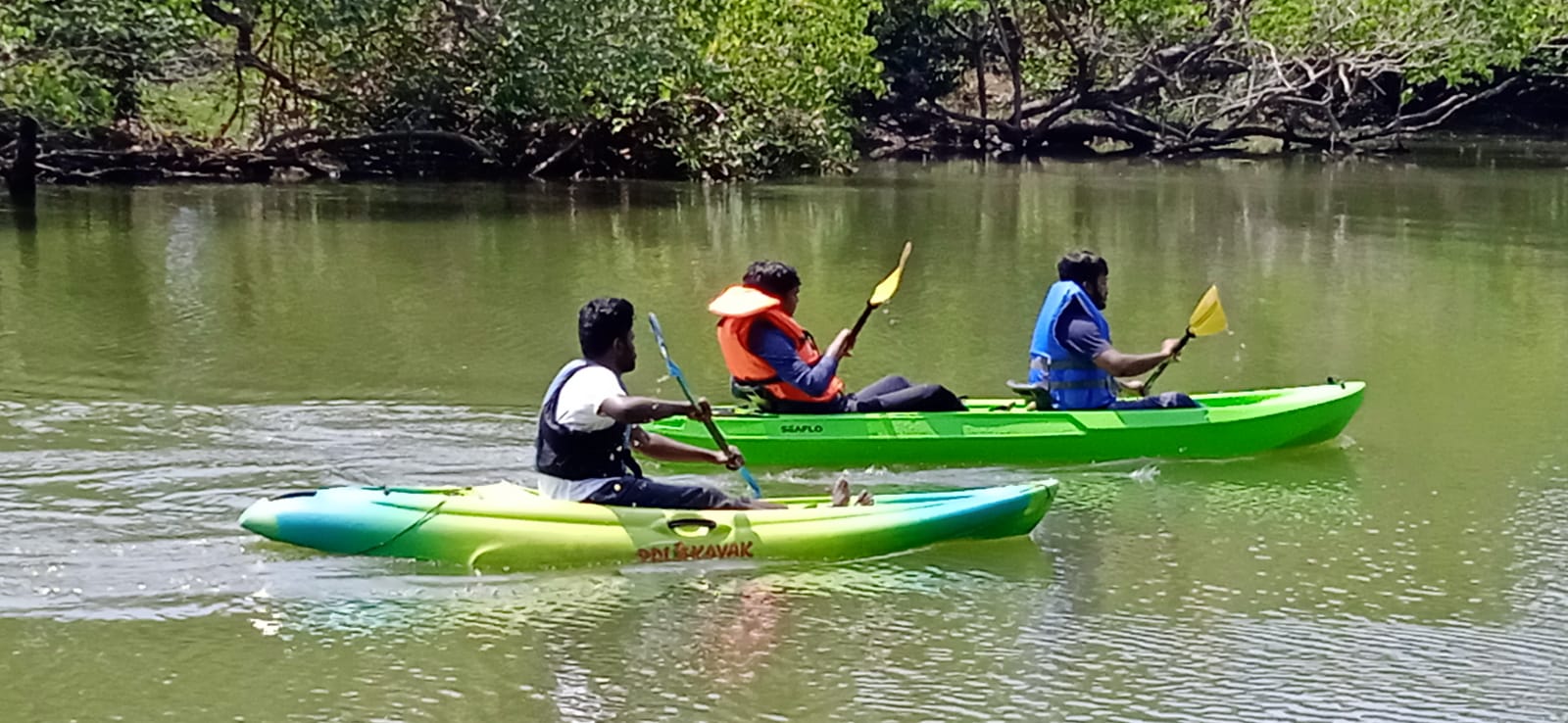 Gallery - SAFA Kayak in Paradise & Golden Island Boating